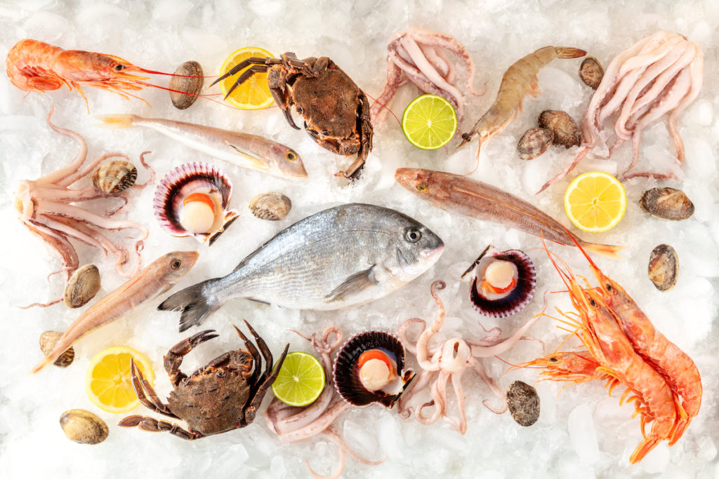 Pesce congelato dagli chef o pesce già congelato nei ristoranti?