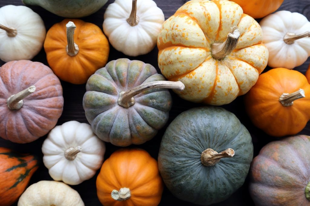 Zucca: proprietà e utilizzi in cucina. Perfetto esempio di biodiversità
