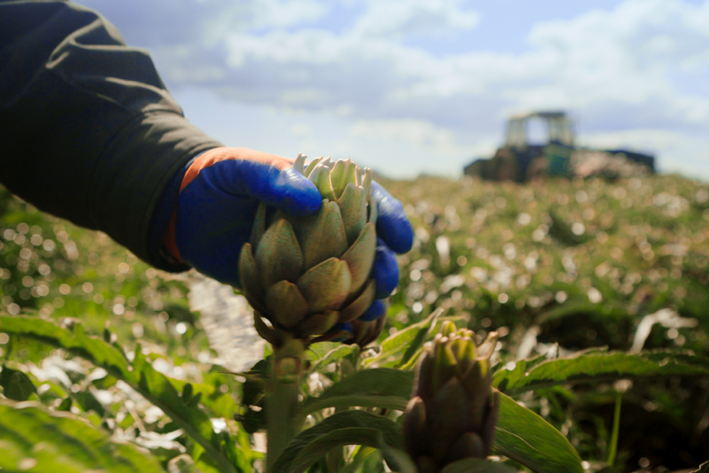 Bell’Atmosfera! Tre motivi per conoscere la nuova linea Viander