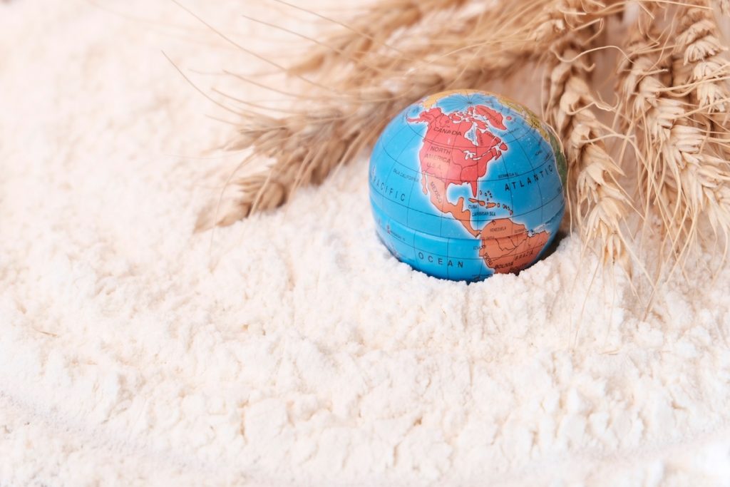 Export farine italiane: il trend prosegue in positivo senza sosta